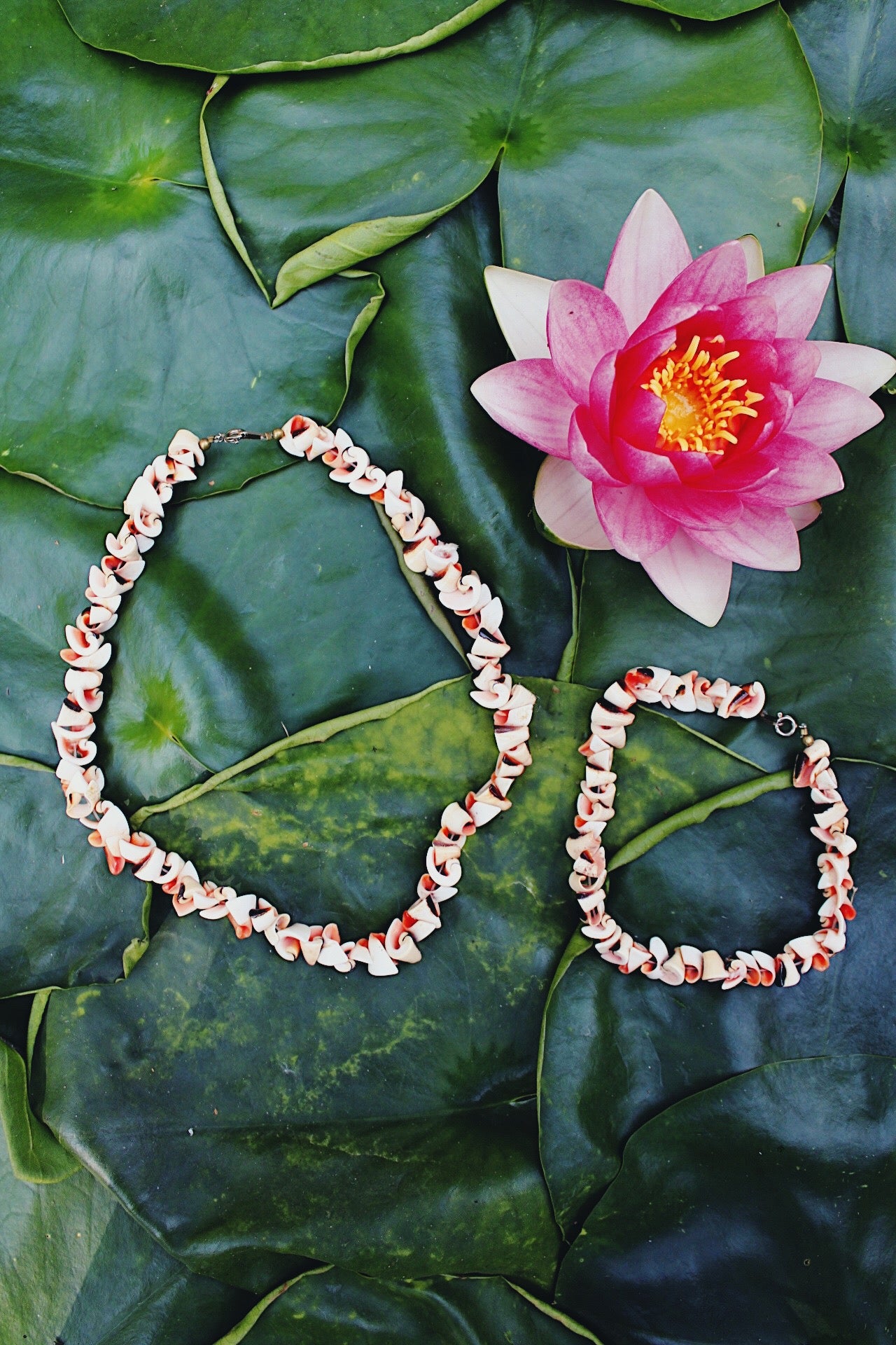 Vintage Matching Shell Necklace and Bracelet Set | Live Forever Vintage